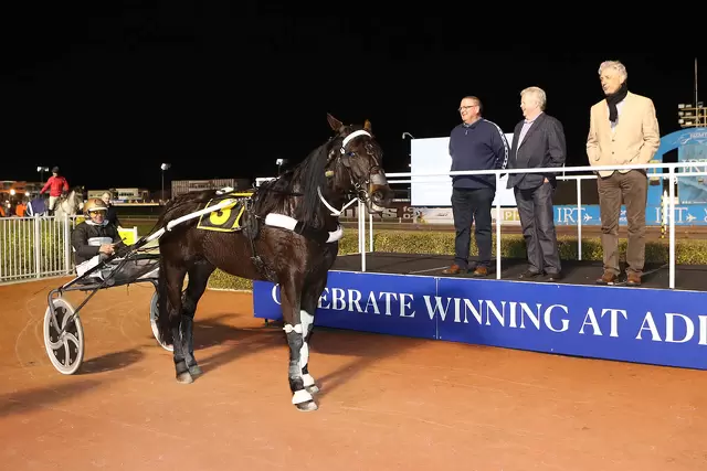 Its So Easy…….Just ask WJ (Bill) Doyle | News - NZSBA