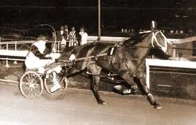 Where Are They Now | Robin Dundee | News - NZSBA